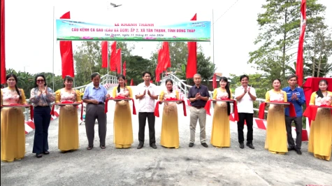 Tân Thạnh: Khánh thành cầu kênh Cả Gáo chào mừng Đại hội Đảng toàn quốc ...