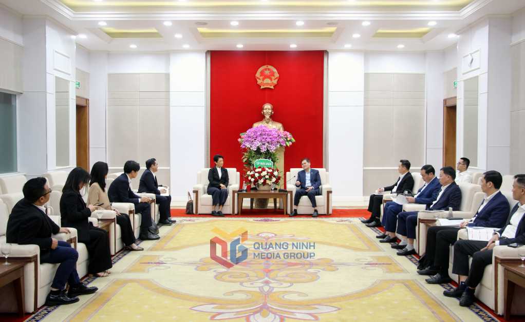 Chủ tịch UBND tỉnh Bùi Văn Khắng tiếp xã giao Tập đoàn Amata