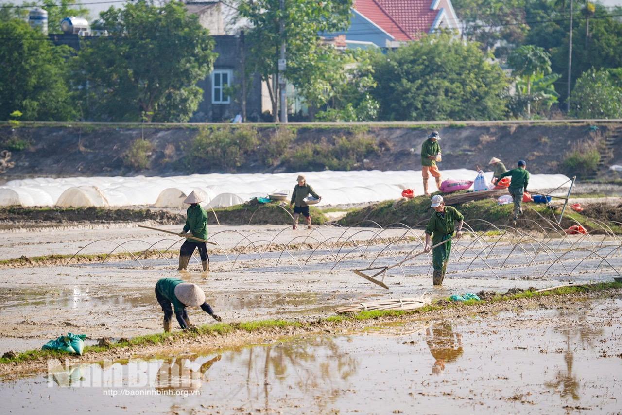 Vụ Đông Xuân 2025-2026: Nhận diện thách thức, linh hoạt ứng phó