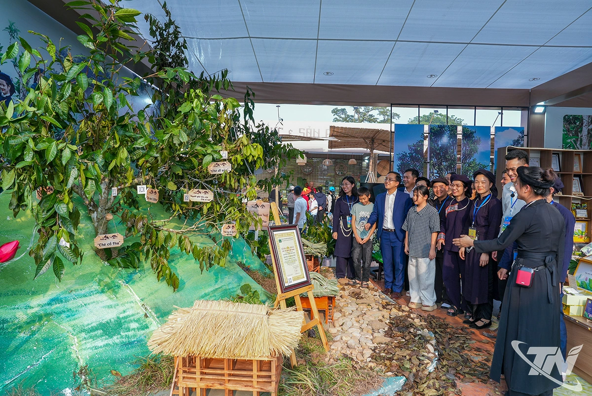 Bằng Phúc khoe hương danh trà, lan tỏa tinh hoa chè Thái Nguyên